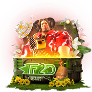 TF2Easy - Open TF2 cases and win new items & skins!